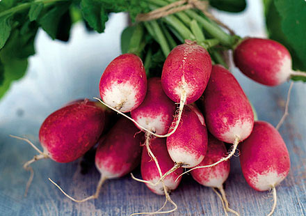radish bbcgoodfood - Inglês Gourmet
